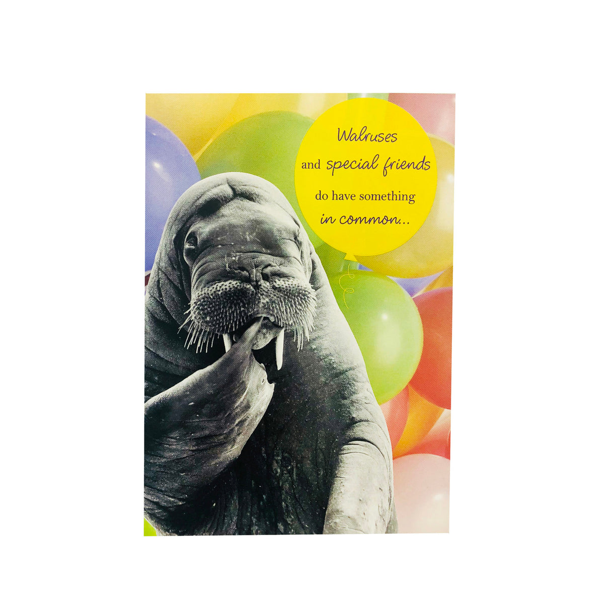 Designer Greetings Birthday Card - Walruses And Special Friends – The ...